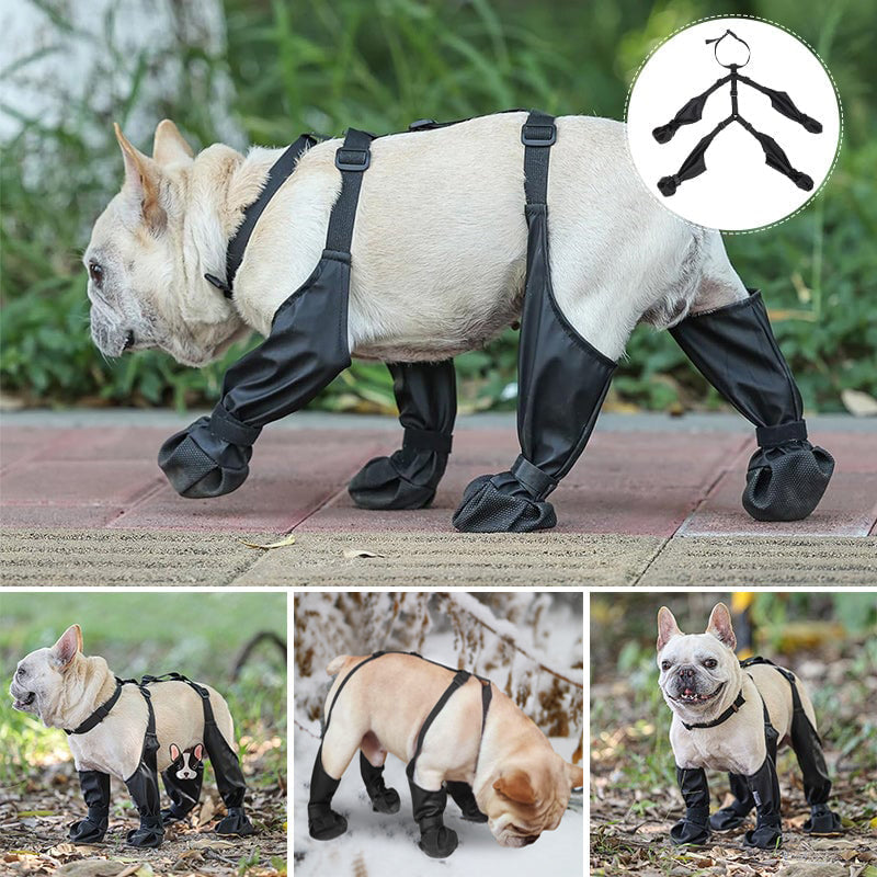👢Adjustable Connected Dog Boots - Ultimate Paw Protection ️ – spainho