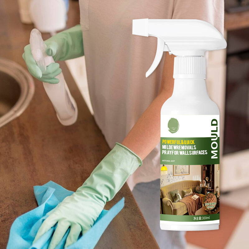 🔥Powerful & Quick Mildew Removal Spray for Wall Surfaces – spainho