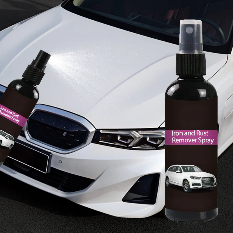 Fast-Acting Iron and Rust Remover Spray – spainho