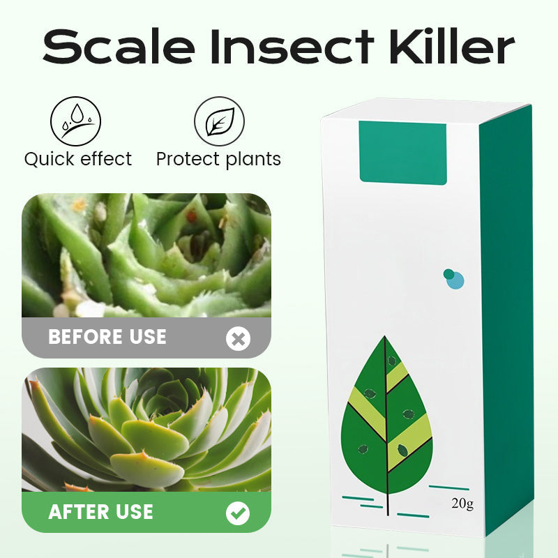 Concentrate Long-Lasting Scale Insect Control – spainho