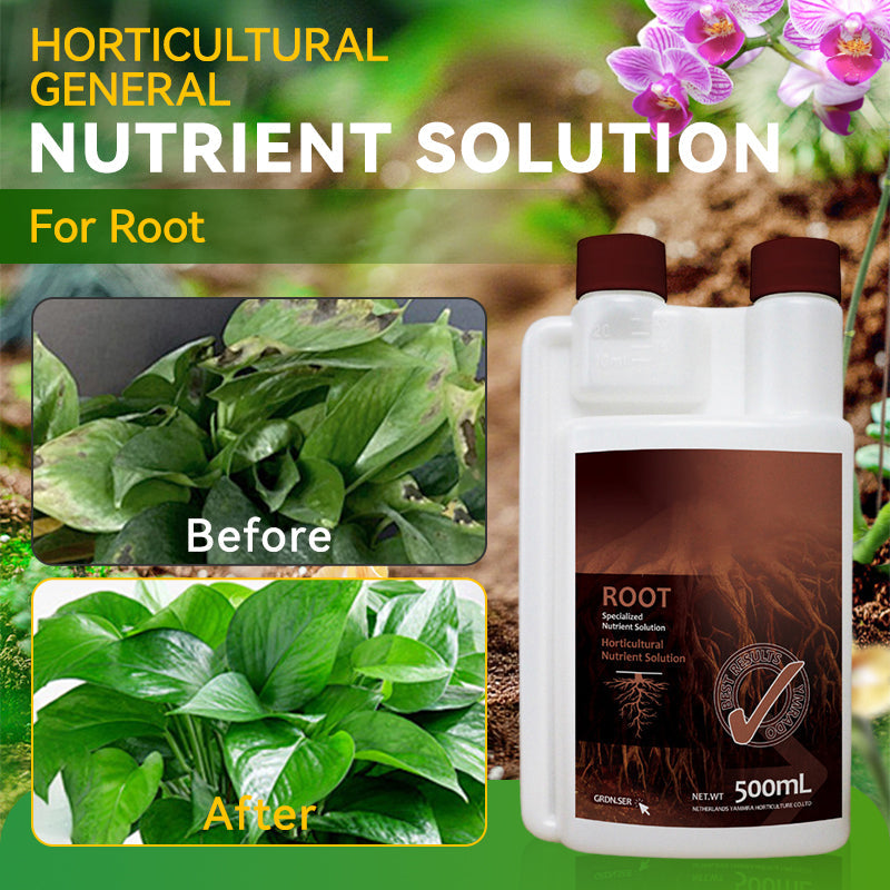 Horticultural General Nutrient Solution for Root – spainho